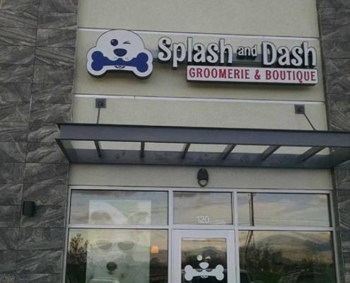Splash and Dash Groomerie & Boutique - Dog Grooming, Meridian, ID ...