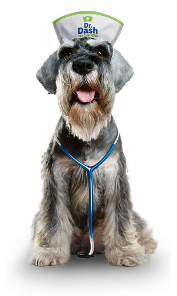 Dr Dash - Splash and Dash for Dogs