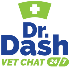 Copy of Dr Dash - Splash and Dash for Dogs